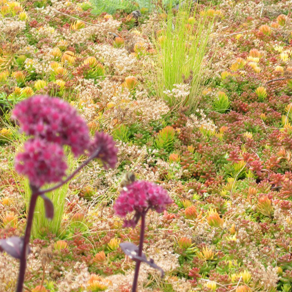 Stack House - Berger PartnershipBerger Partnership