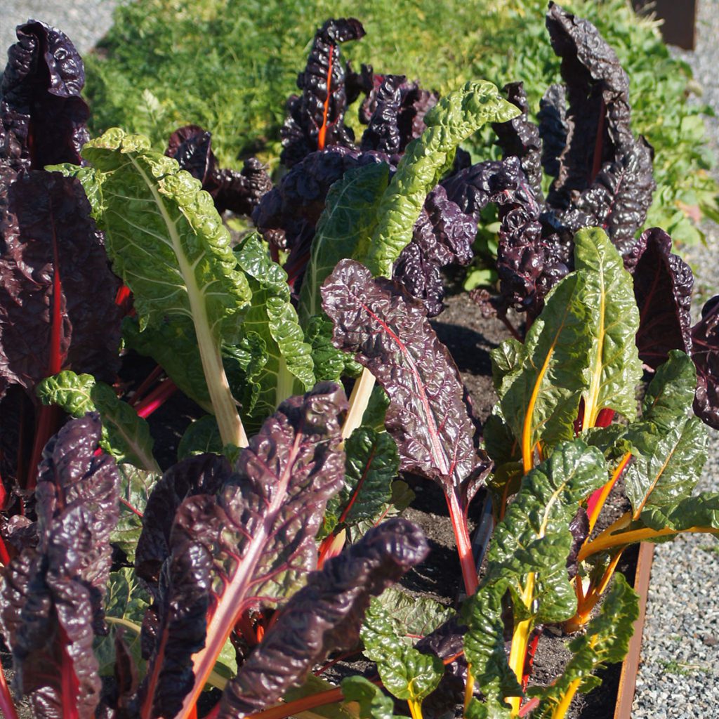 Stack House - Berger PartnershipBerger Partnership