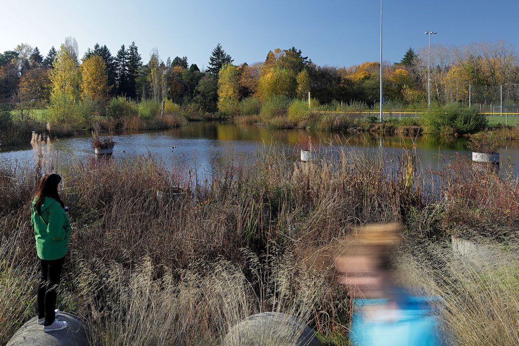 Magnuson Park - Berger PartnershipBerger Partnership