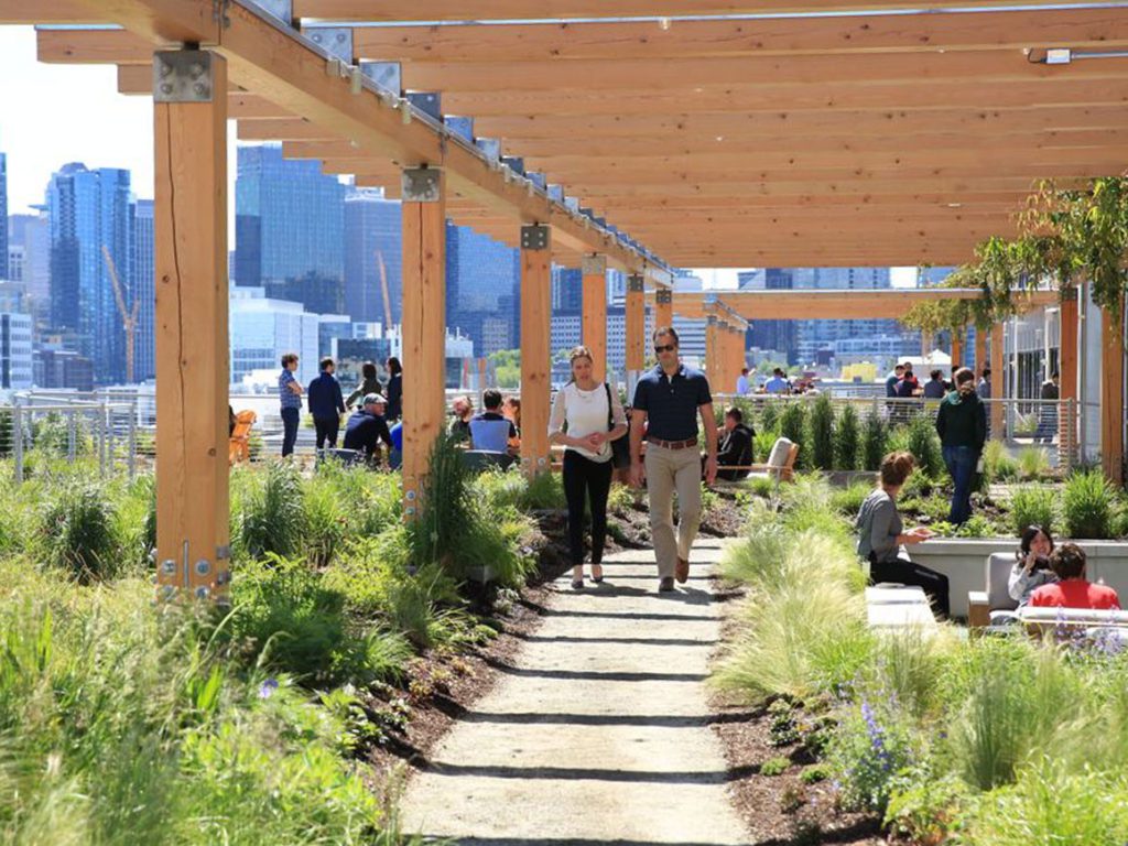 Facebook headquarters, Seattle, roof top garden, berger ...