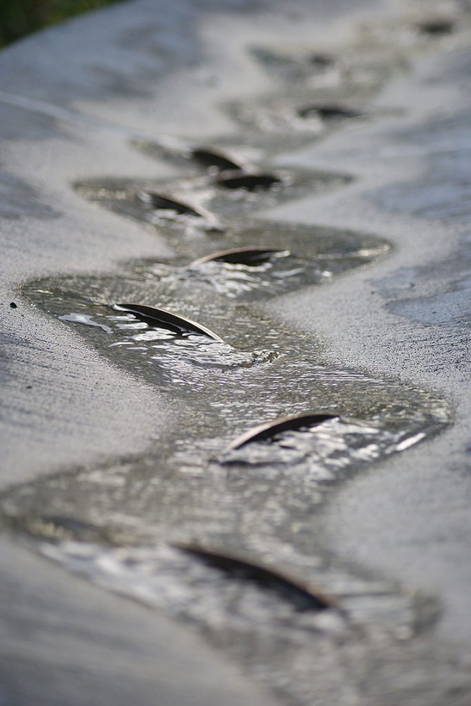 Adams Elementary Rain Garden - Berger PartnershipBerger Partnership