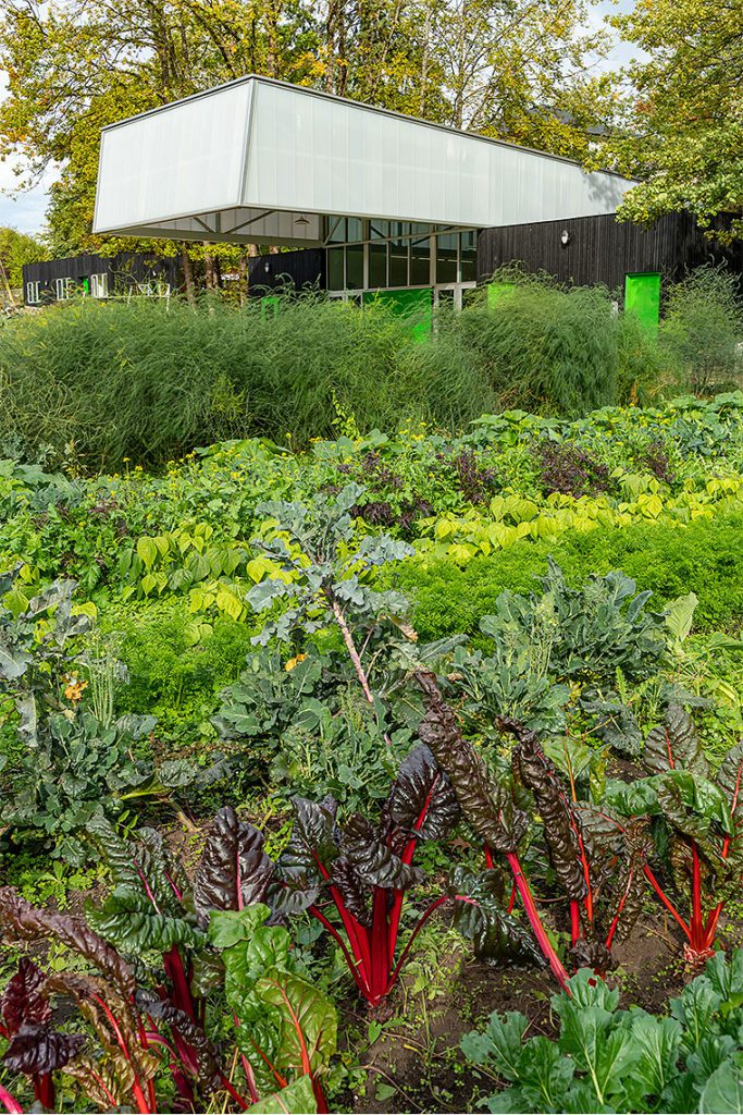 Rainier Beach Urban Farm & Wetland - Berger PartnershipBerger Partnership