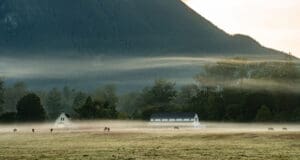 Tollgate Farm Park - Berger PartnershipBerger Partnership