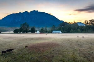 Tollgate Farm Park - Berger PartnershipBerger Partnership