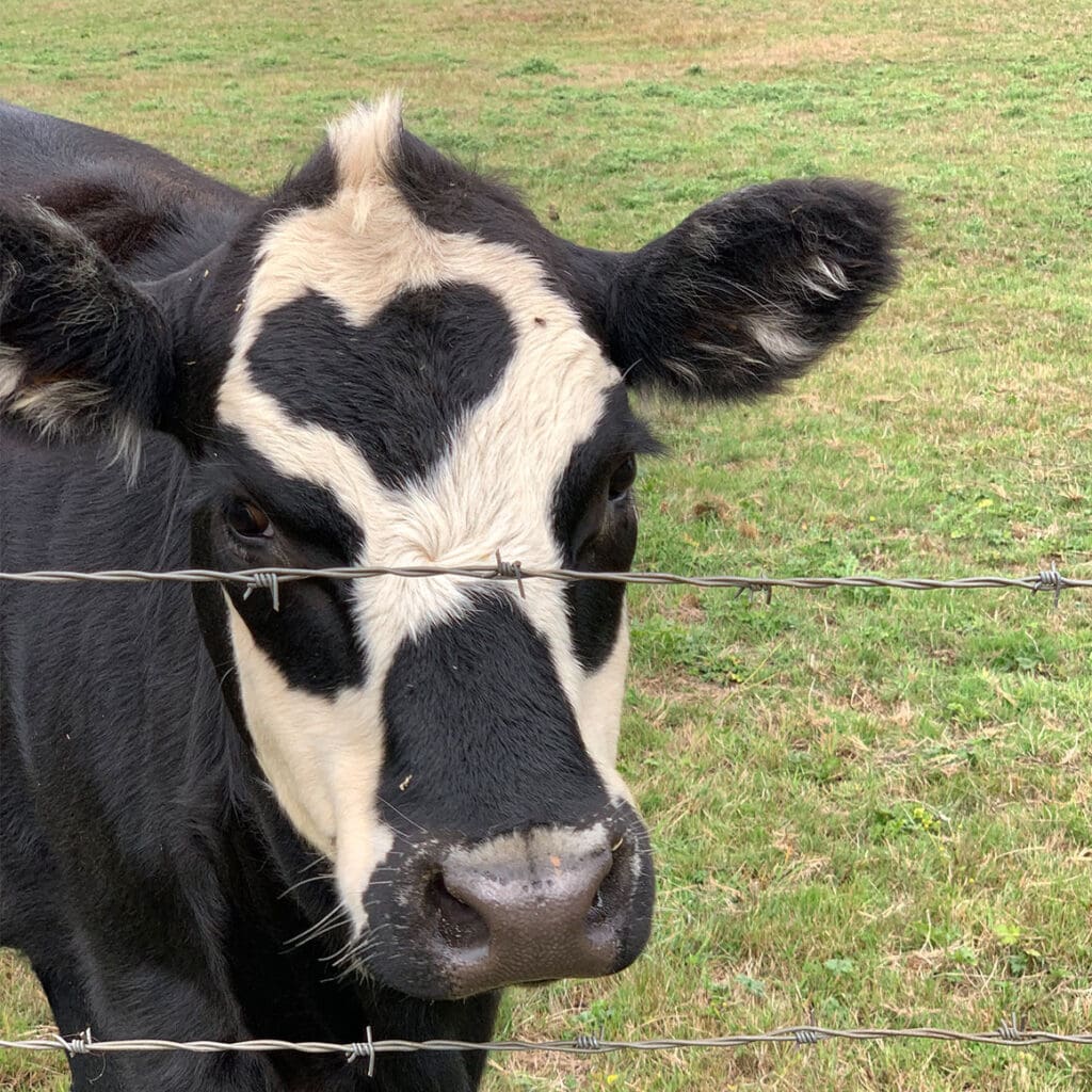 Tollgate Farm Park - Berger PartnershipBerger Partnership