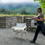 Tollgate Farm Park - Berger PartnershipBerger Partnership