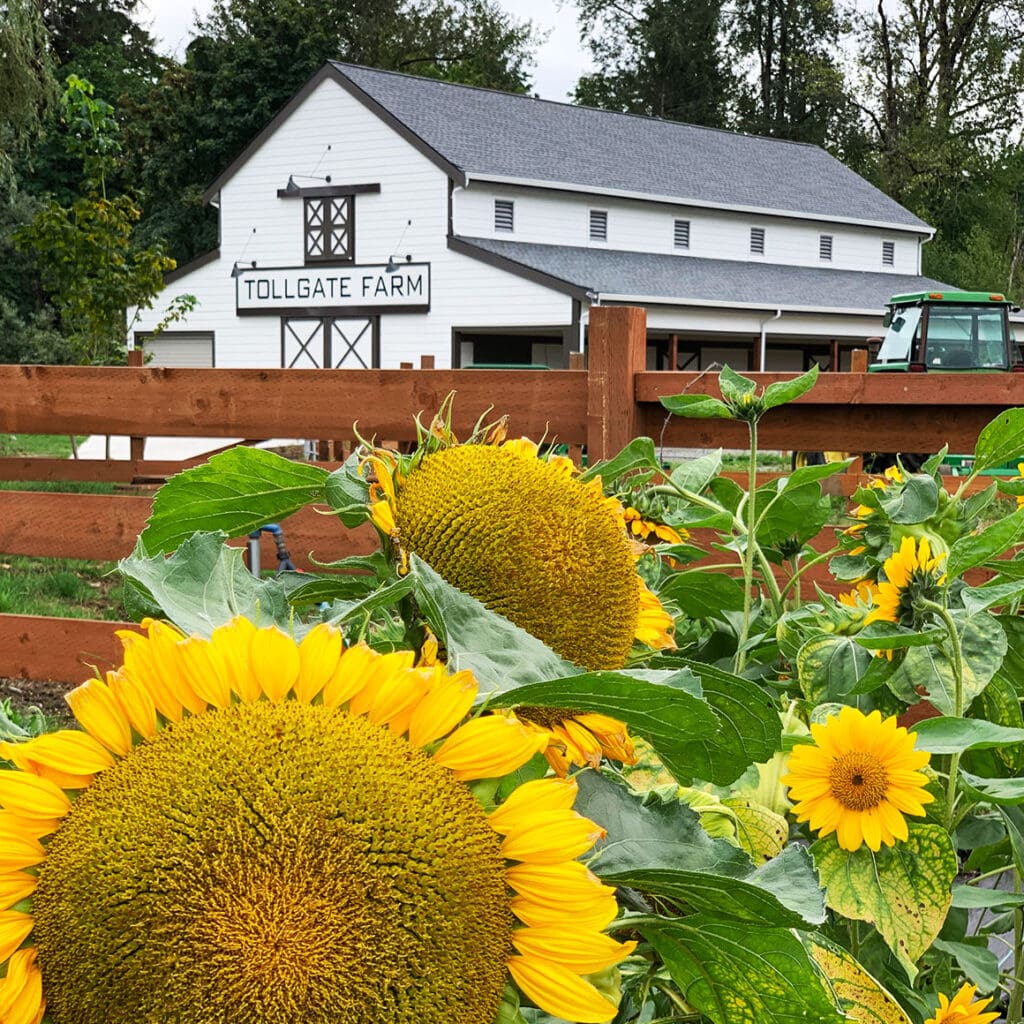 Tollgate Farm Park - Berger PartnershipBerger Partnership